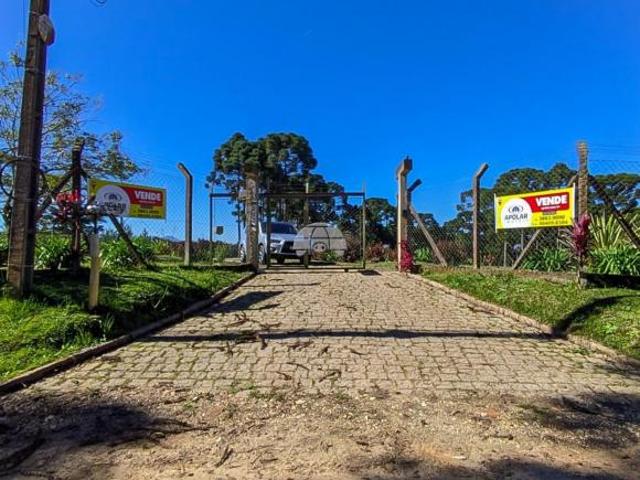 Chácara para venda em Roseira de 150.00m² com 3 Quartos e 1 Suite