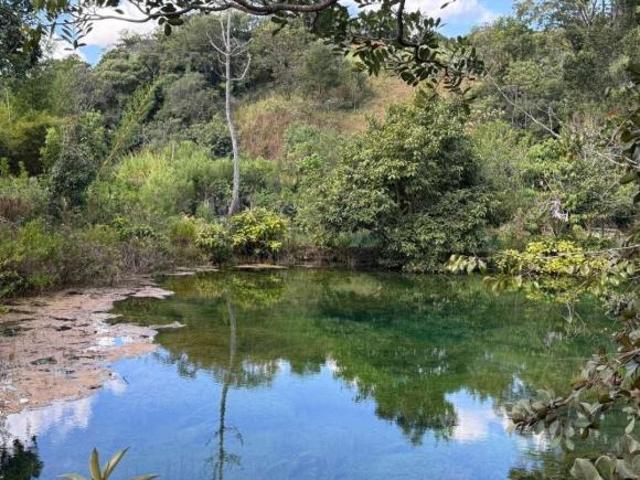 Chácara para Venda em RA II Gama, Cidade Nova Gama, 2 dormitórios, 1 banheiro, 10 vagas