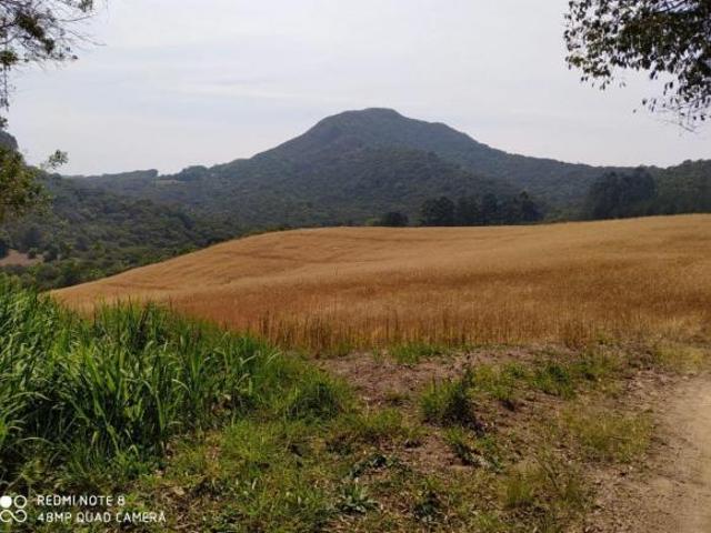 Chácara para venda em Retiro Grande, Campo Largo