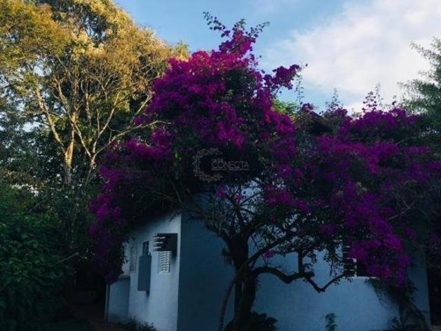 Chácara para venda em Recanto dos Pinheiros, Cambé