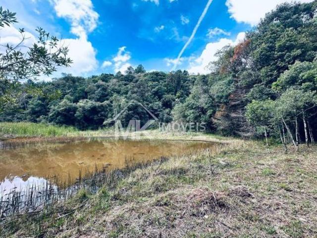 Chácara para venda em Recreio da Serra, Piraquara