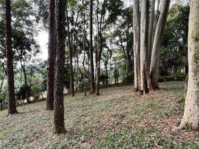 Chácara para venda em Recreio São Jorge, Guarulhos