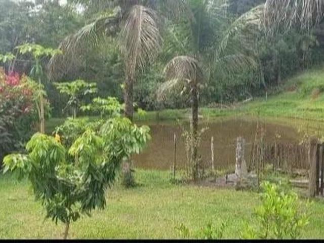 Chácara para Venda em Registro, AREA RURAL, 3 dormitórios, 1 suíte, 1 banheiro, 3 vagas
