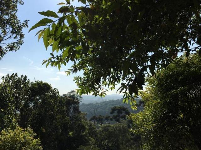 Chácara para venda em Ribeirão Pires