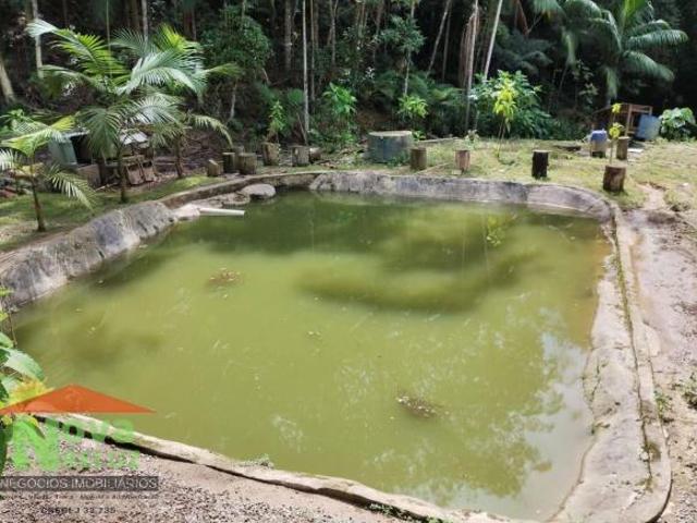 Chácara para venda em Ribeirão Pires