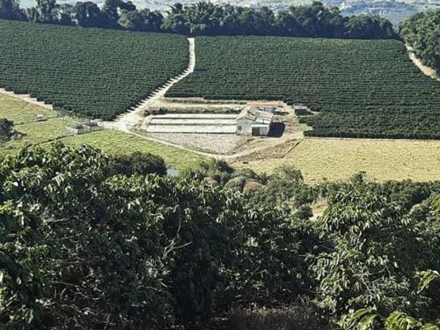 Chácara para venda em Ribeiros/Ribeiros, São Gonçalo do Sapu
