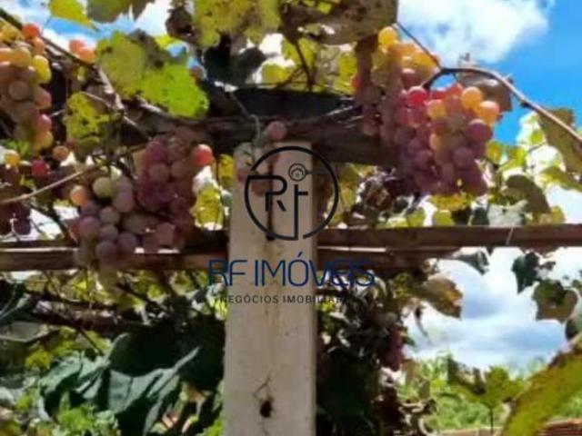 Chácara para venda em Rio das Pedras