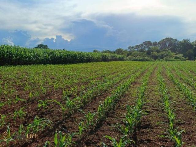 Chácara para venda em Rio Verde