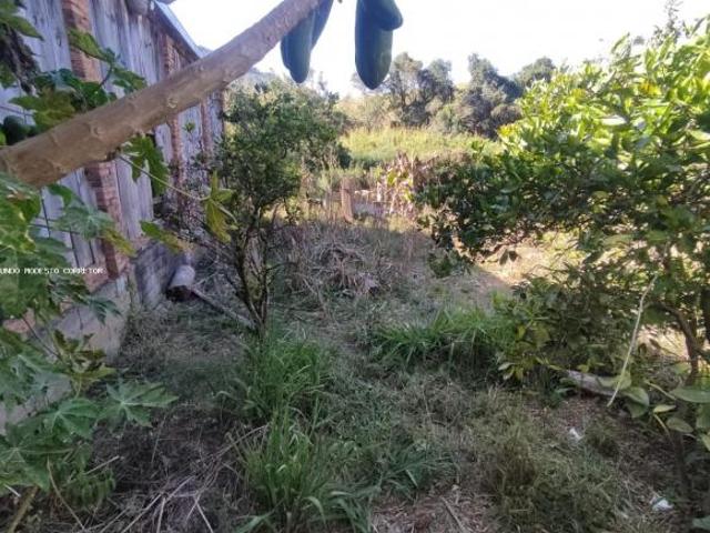 Chácara para Venda em Toledo, Centro, 4 dormitórios, 2 banheiros, 2 vagas