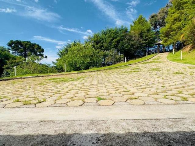 Chácara para Venda em Toledo, Fazenda, 3 dormitórios, 1 suíte, 3 banheiros, 2 vagas