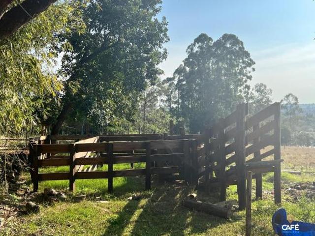 Chácara para venda em Tancredo Neves, Santa Maria