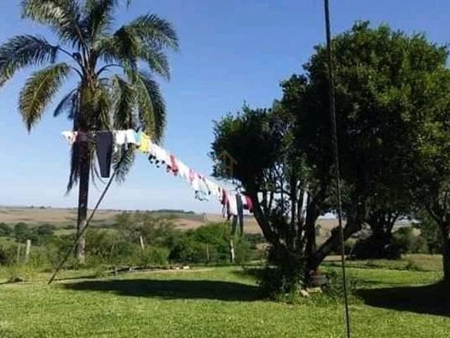 Chácara para venda em Tancredo Neves, Santa Maria