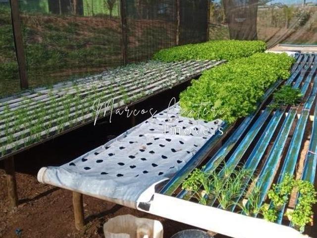 Chácara para venda em Tanabi