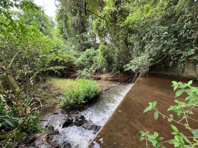 Chácara para venda em Terezópolis de Goiás