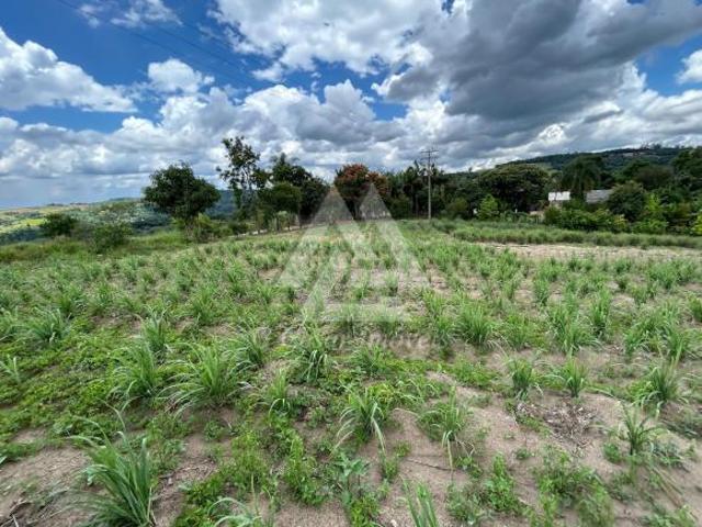 Chácara para venda em Vila N S Piedade de 1000.00m² com 1 Quarto, 1 Suite e 6 Garagens