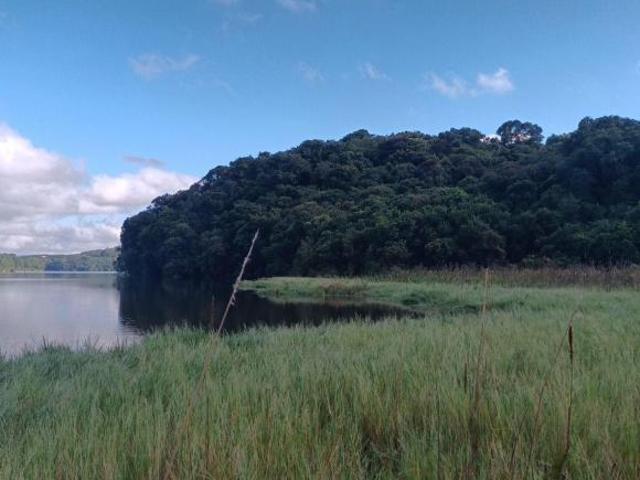 Chácara para venda em Zona Rural de 50.00m² com 2 Quartos e 6 Garagens