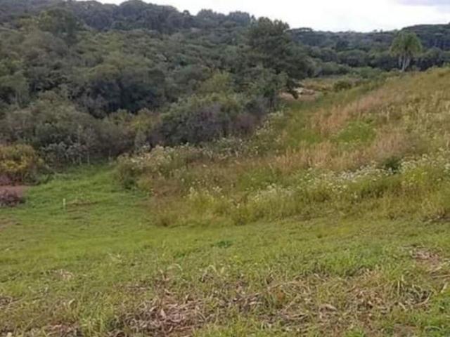 Chácara para venda em Zona Rural de 7000.00m² com 1 Quarto