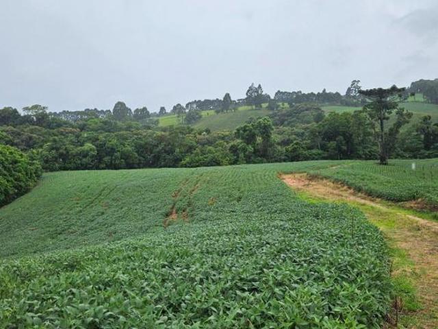 Chácara para venda em Zona Rural de 79000.00m² com 1 Quarto