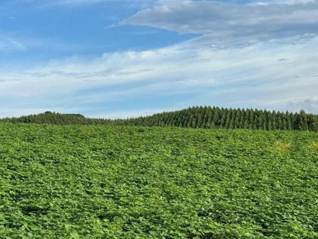 Chácara para venda em Zona Rural de 240.00m² com 2 Quartos e 5 Garagens