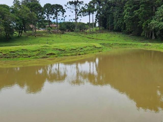 Chácara para venda em Zona Rural de 250.00m² com 6 Quartos e 3 Garagens