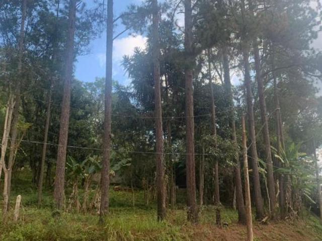 Chácara para Venda Jardim das Cerejeiras, Cotia SP