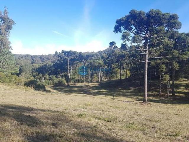 Chácara Parada Cristal a venda com 7.8 hectares