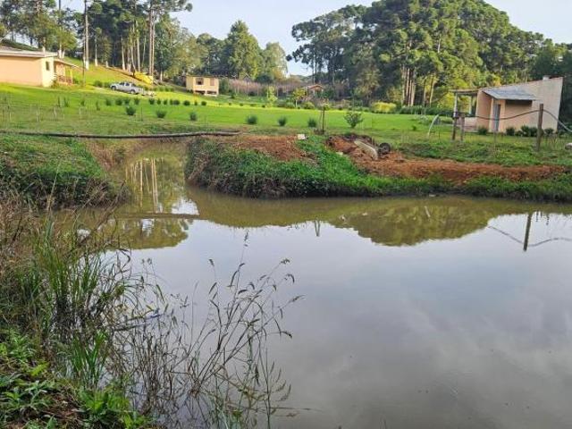 Chácara paradisíaca em Araucária 20.000m com casa, quiosque e córrego