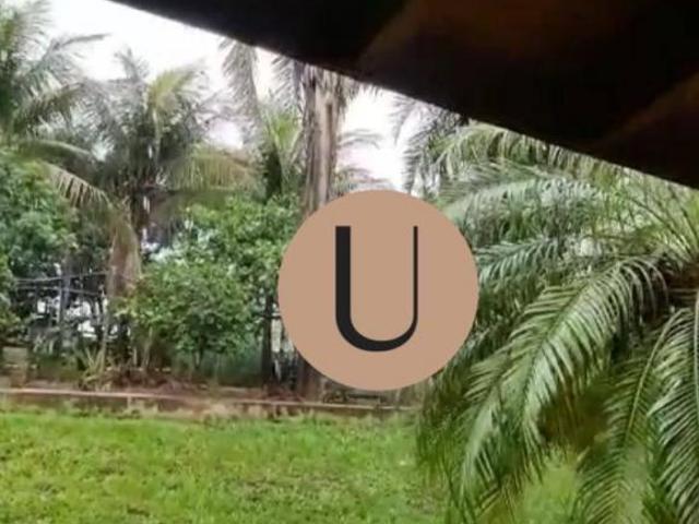 Chácara Paraíso: Seu Refúgio em Jacema, Santa Albertina SP