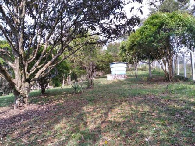 Chácara, Pau de Saia, São José dos Campos, SP