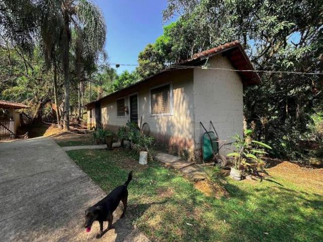 Chácara, Pau de Saia, São José dos Campos, SP