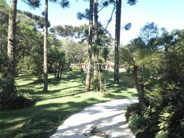 Chácara pertinho de Curitiba PR à venda, 10000 m²