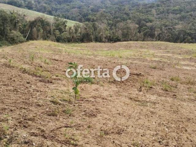 CHACARA PLANTIO EM BONITO NA LAPA