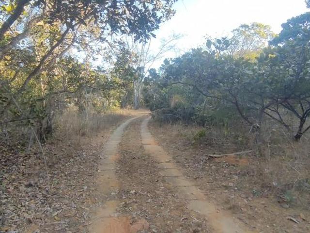 Chácara formada, Plana, murada, Casa, Frutíferas Altiplano Leste Asfalto