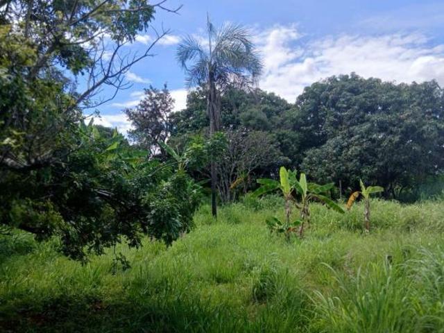 Chácara Planaltina/GO colada do DF FAÇA SUA PROPOSTA