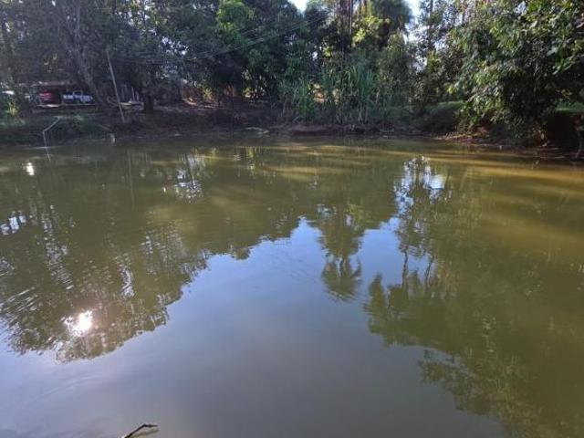 CHACARA PONTE ALTA/GAMA,10 HECTARES, FORMADA 100% PLANA, RIO, 02 REPRESAS, SEDE BOA ETC