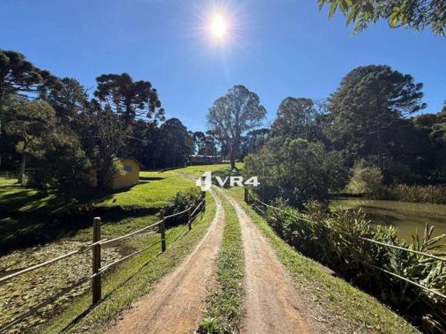 Chácara Pronta para Morar | Fácil Acesso BR 376 | com 44.473 m², à venda por R$ 1.995.000 Contend