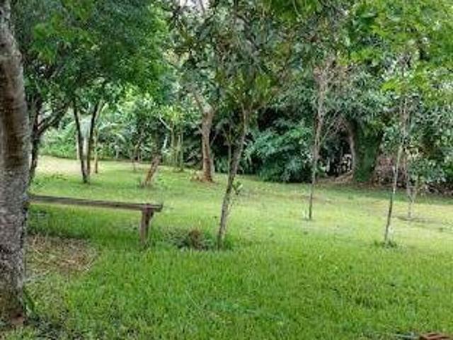 CHÁCARA PRÓXIMA AO CAMPOS SAMAMBAIA DA UFG Chácara à Venda, 9000.00 por R$ 2000000.00 AD11159