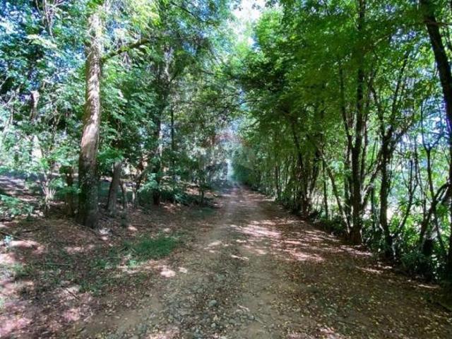 Chácara próxima ao shopping