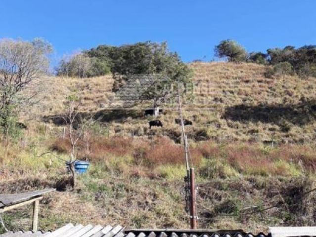 Chácara Rural à venda, Laranjeiras de Caldas, Caldas CH0037