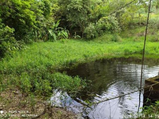Chácara Rural à venda, Vertentes das Águas, São Pedro CH0134