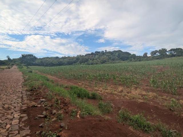 Chácara Rural com rentabilidade, granja de suinocultura. em Marechal Cândido Rondon