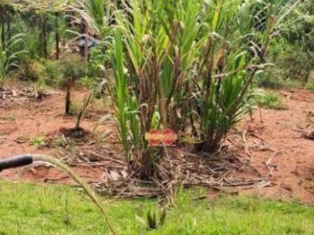Chacara Rural / Fazenda Velha