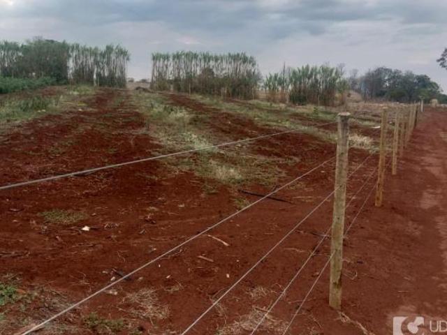 Chácara, Rural, Indianópolis, MG