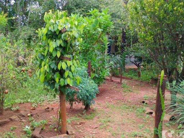 Chácara, Rural, Uberlândia, MG