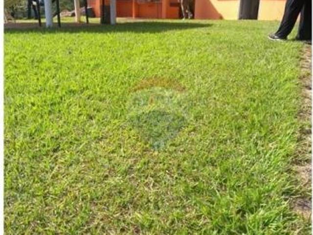 Chácara: Refúgio Tranquilo em Campinas Com 2 dormitórios e muito verde