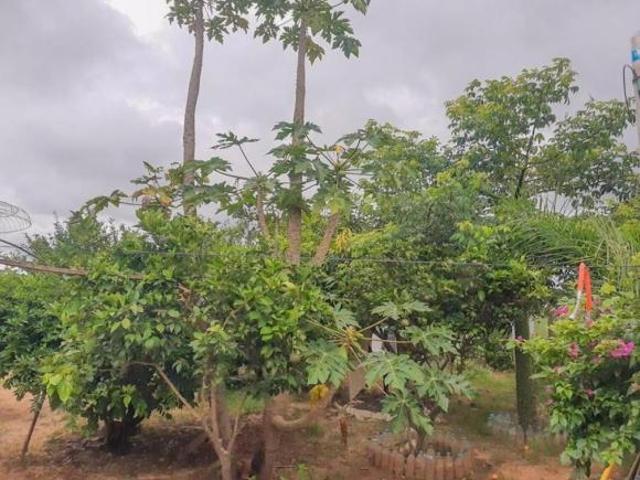 Chácara Residencial à venda, Anhumas, Piracicaba CH0317