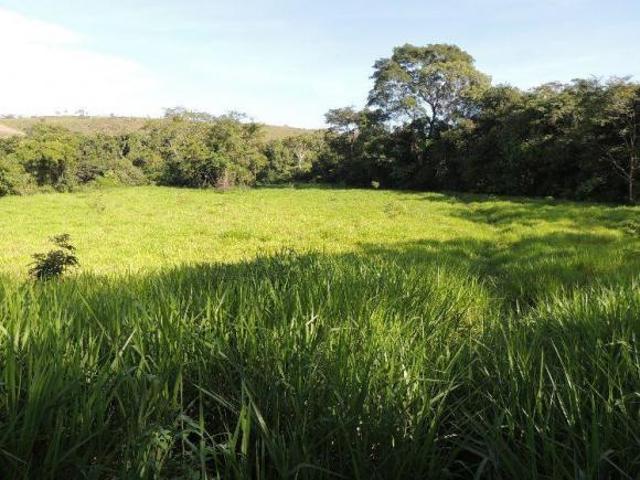 CHACARA, SÃO SEBASTIÃO, 2 HECTARES, COM CASA, CHURRASQUEIRA E PISCINA
