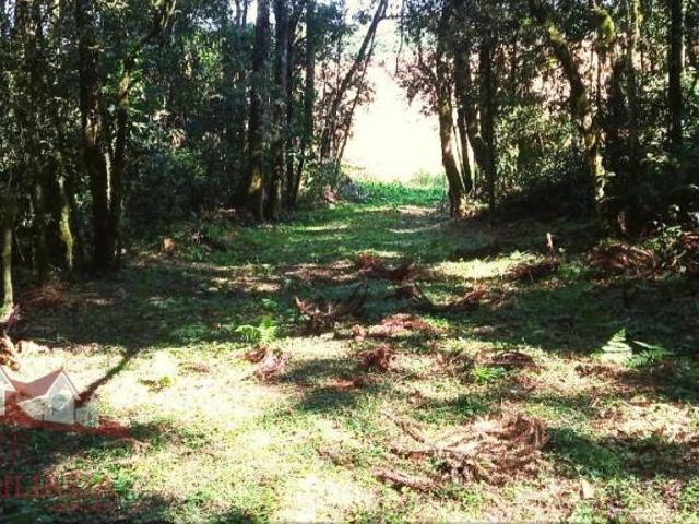 Chácara à Venda sem benfeitorias em São José dos Pinhais