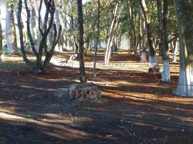 Chácara, Sítio ou Fazenda a venda em Torrinha/SP Centro