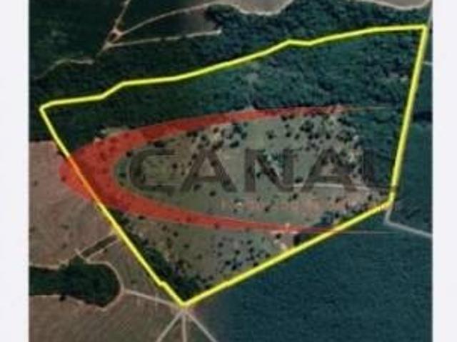 Chácara, Sítio ou Fazenda a venda em Agudos/SP Agudos/paulistânea